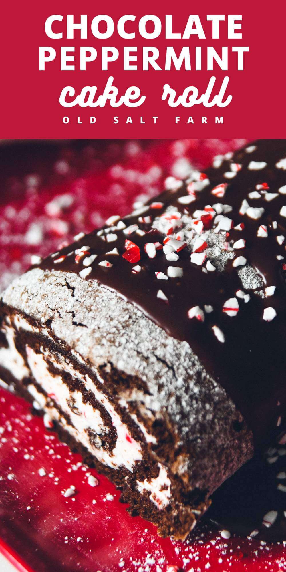 Chocolate Peppermint Cake Roll Recipe | Old Salt Farm