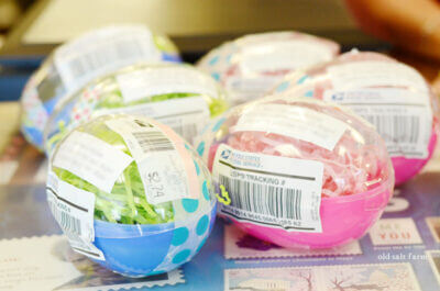 How to Mail Easter Eggs | Old Salt Farm