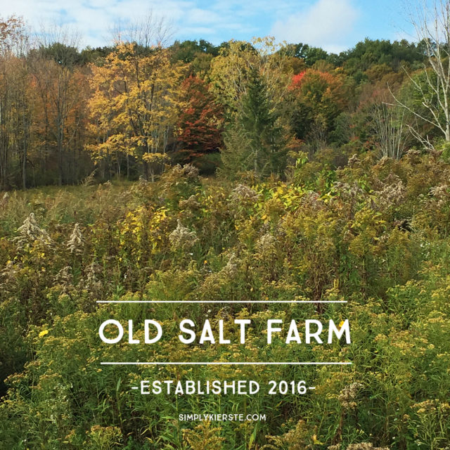 Farmhouse Lighting on a Budget for the Entire House | Old Salt Farm
