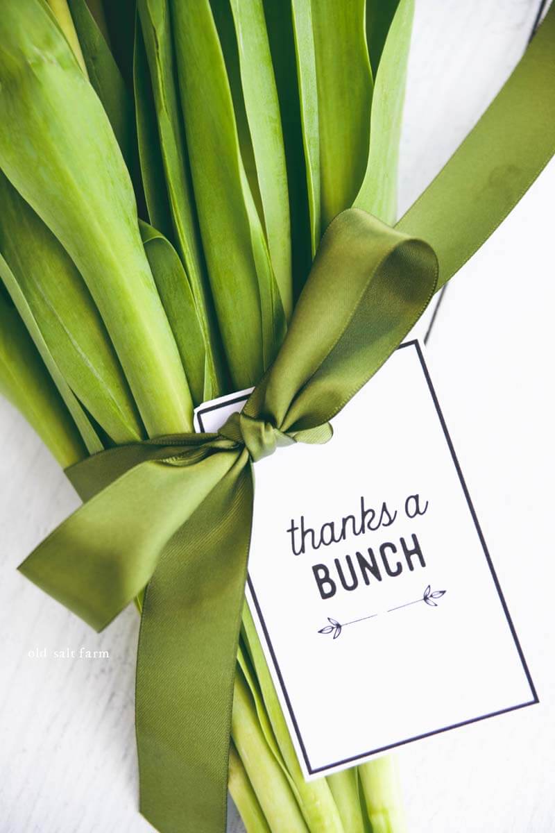 Thanks a Bunch! | Printable Gift Tag for Flowers | Old Salt Farm