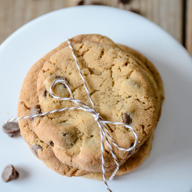 Cookies & Bars Archives - Old Salt Farm