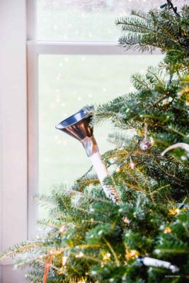 Easy Way To Water a Christmas Tree | Old Salt Farm