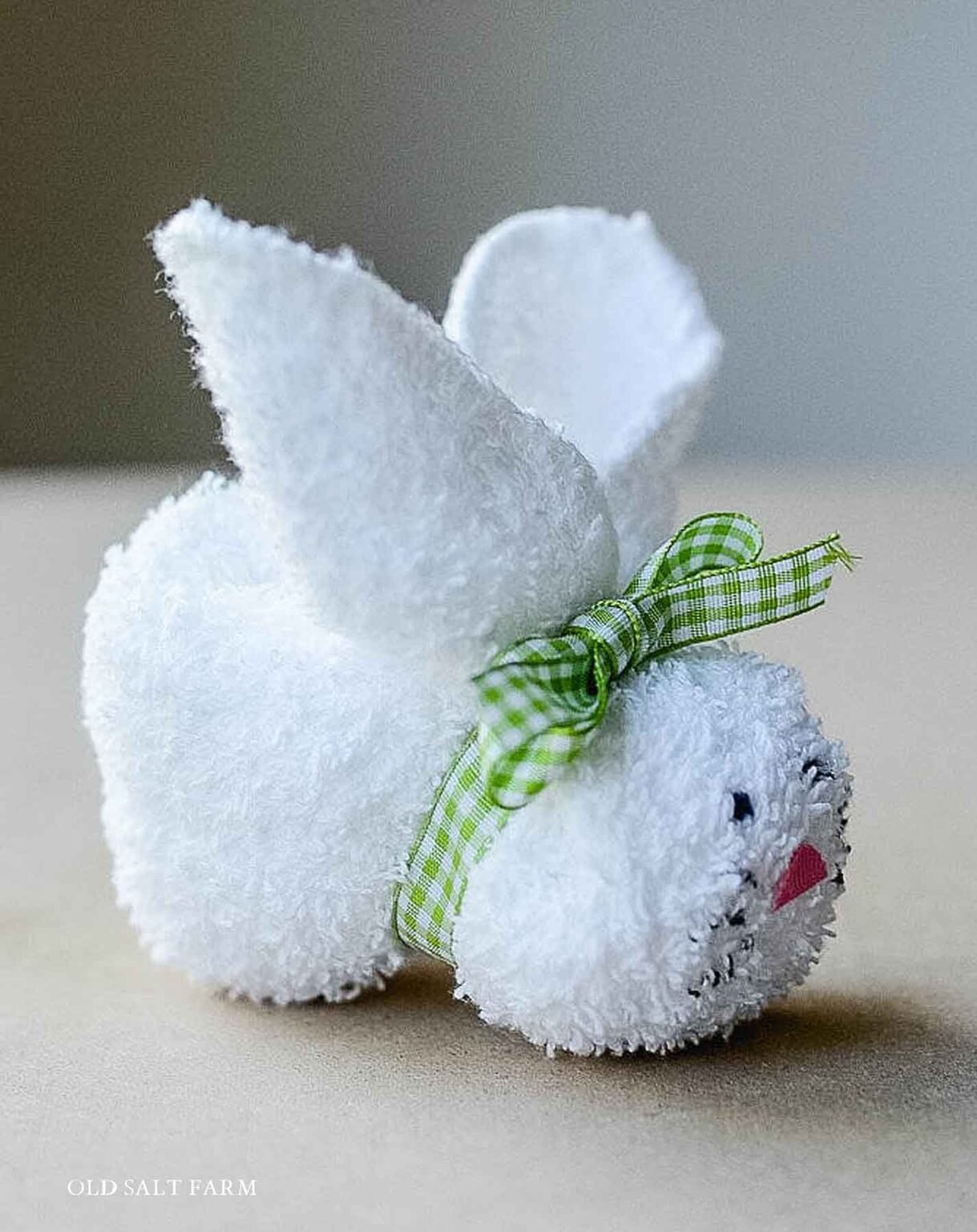 Make Your Own Washcloth Boo Boo Bunny | Old Salt Farm