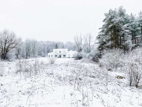 Farmhouse Spring Home Tour | Simple Farmhouse Style | Old Salt Farm