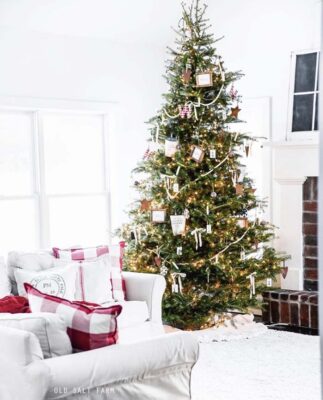 Cutting Down a Christmas Tree Tips | Old Salt Farm