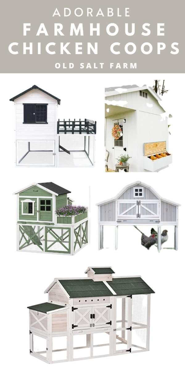 Cute Chicken Coops | Old Salt Farm