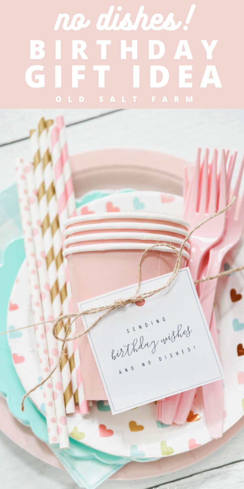 Give the Gift of No Dishes! Easy Birthday Gift Idea | Old Salt Farm