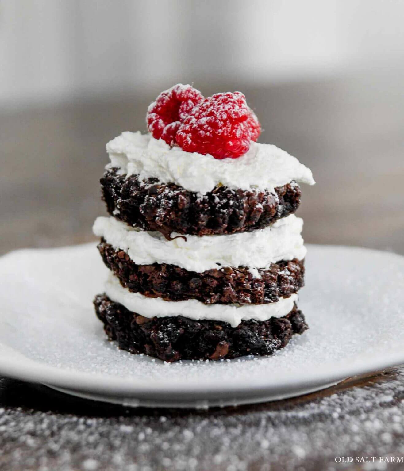 Chocolate Raspberry Torte Brownies | Old Salt Farm