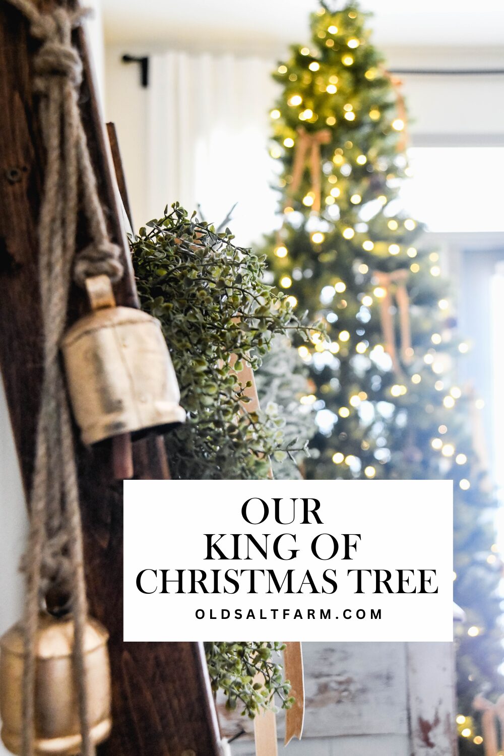 Our King of Christmas Tree | Old Salt Farm