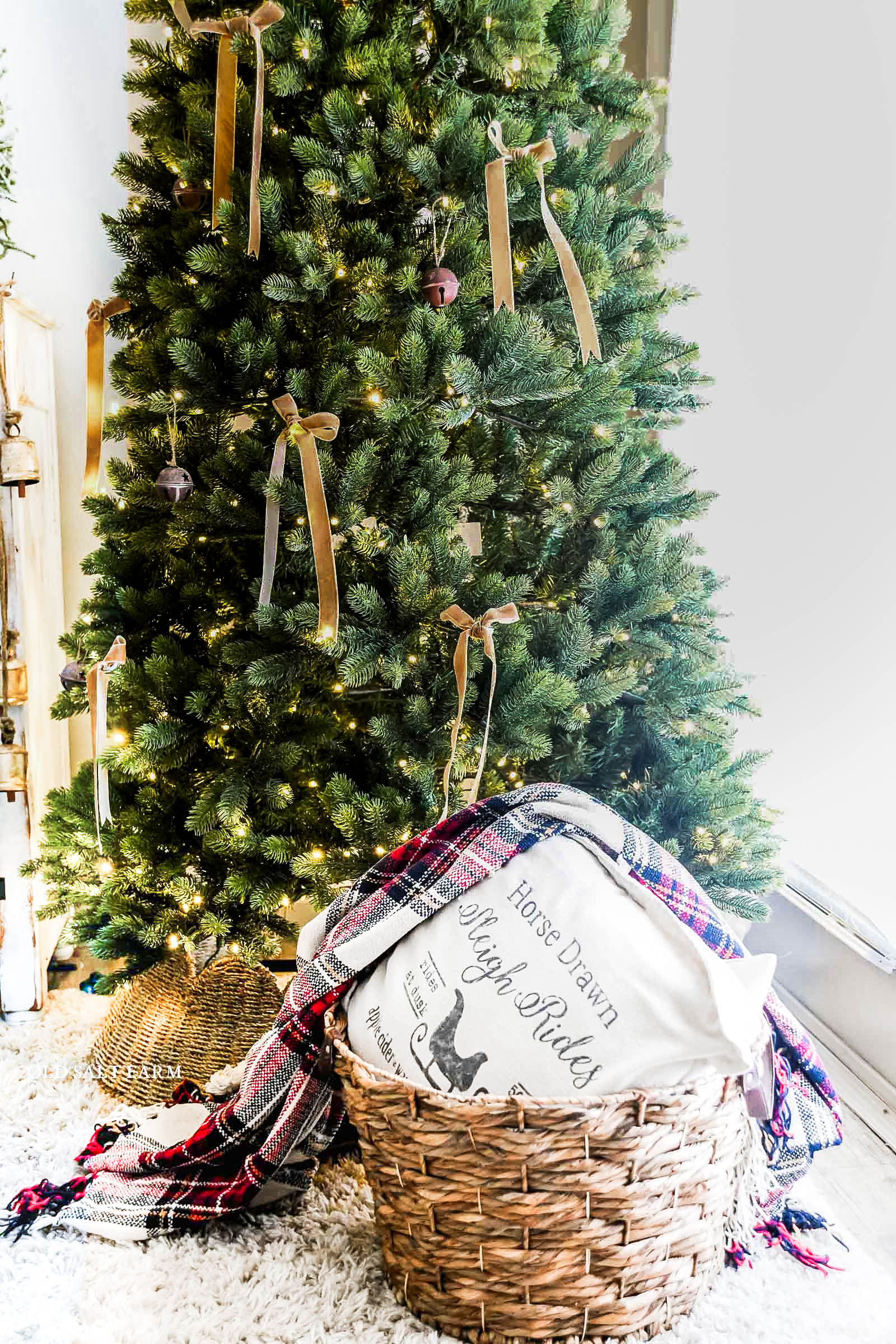Our King of Christmas Tree | Old Salt Farm