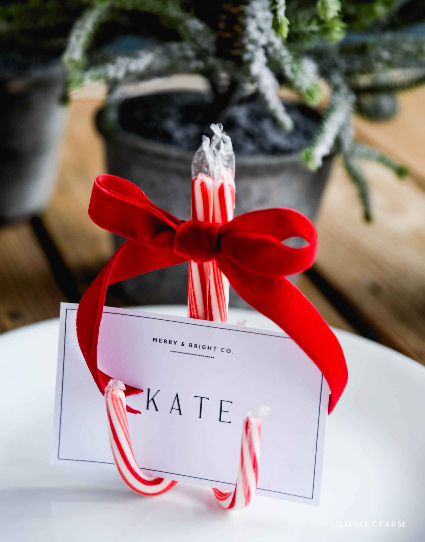 Candy Cane Place Card Holders | Old Salt Farm
