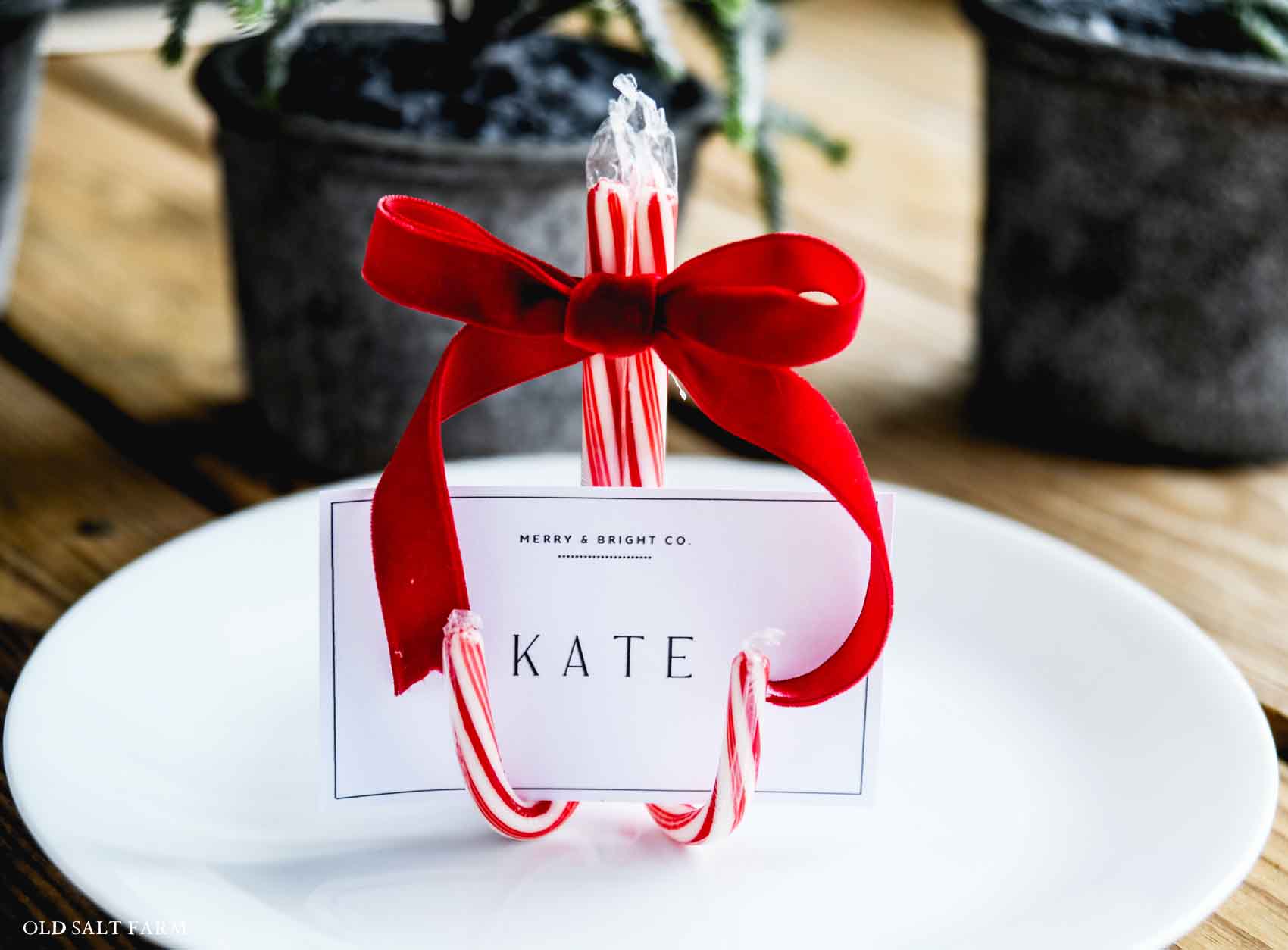 Candy Cane Place Card Holders | Old Salt Farm