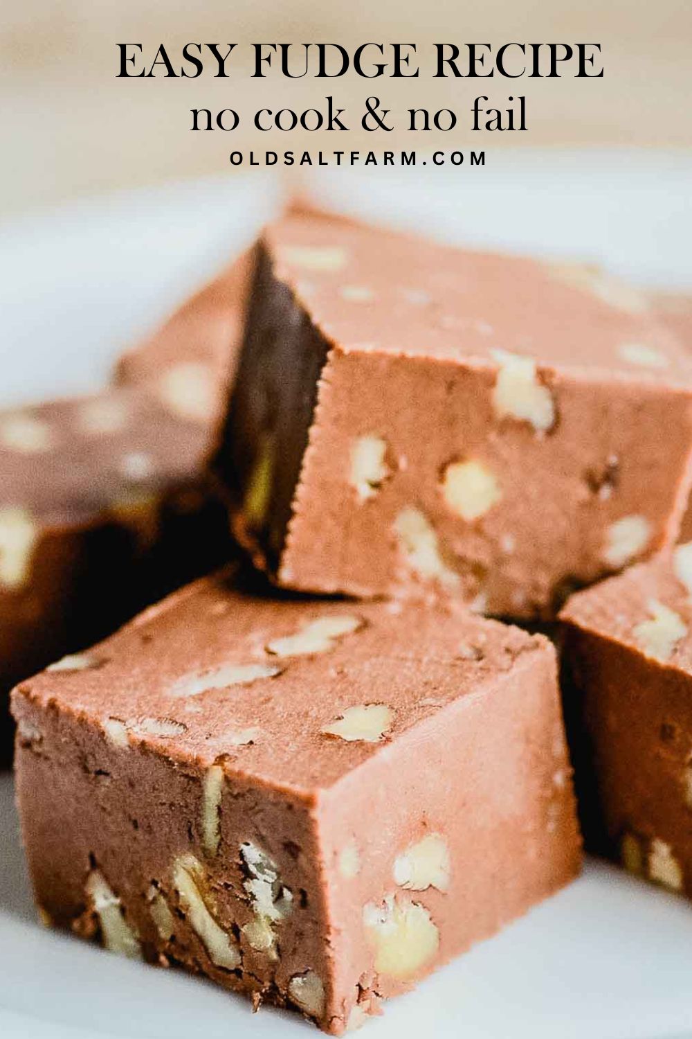 Easy Fudge Recipe: No-Cook, No-Fail | Old Salt Farm